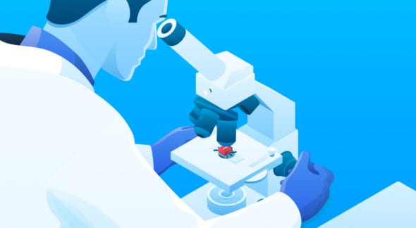 Best Javascript Testing Framework 5 To Consider 