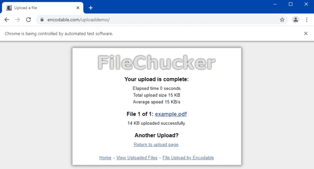 How To Upload And Download A File Using Selenium Testim Blog