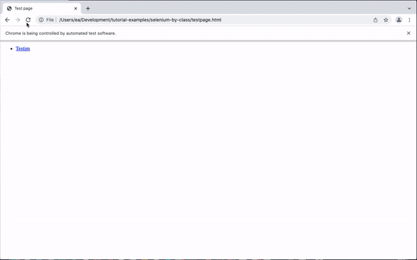How To Find Elements By Class In Selenium